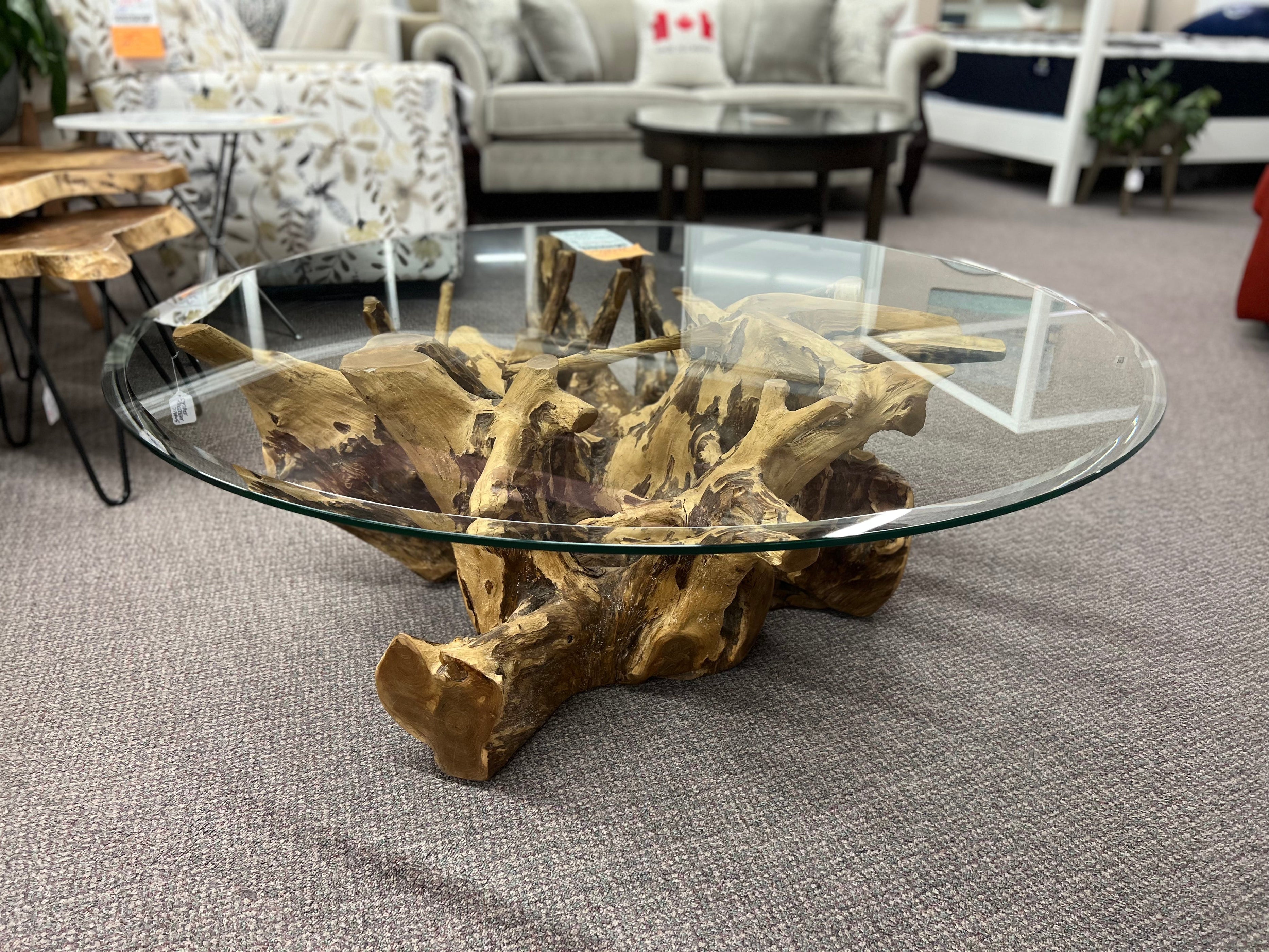 Natura 48" Round Root Coffee Table — Osmond's Furniture